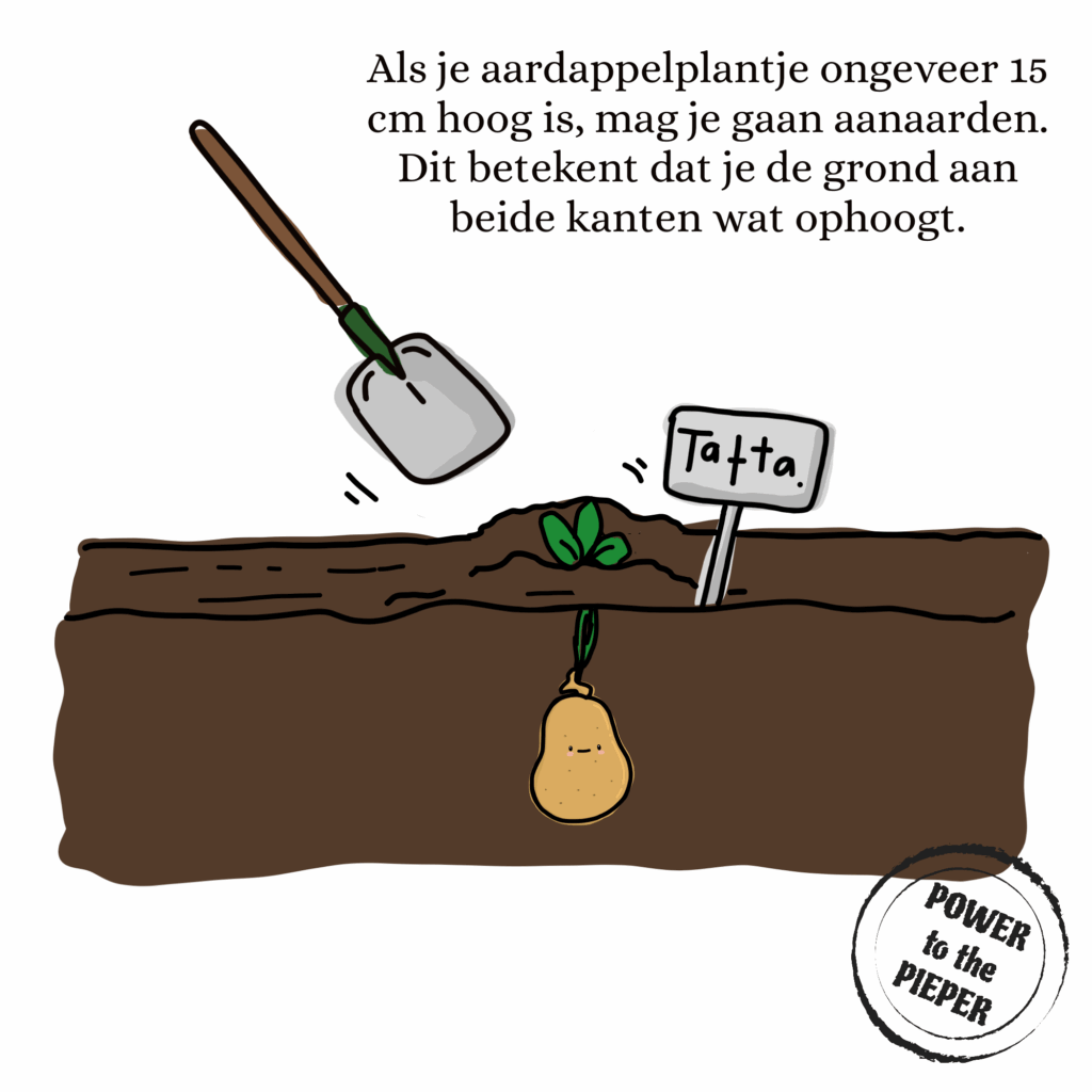 Tatta. is onderweg! vangoghfrites.nl